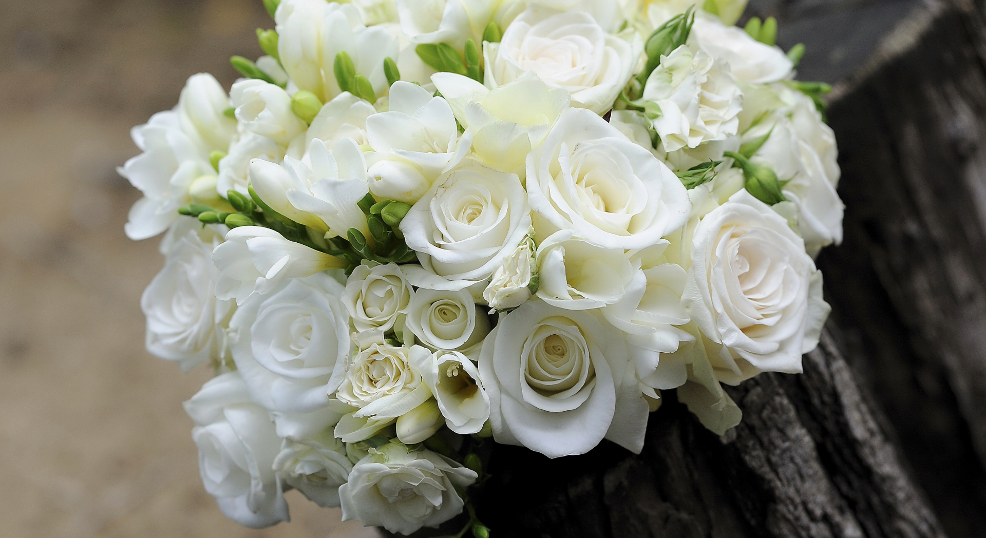 Same Day Flowers Delivery UK | Buy Bouquets Online at eFloral